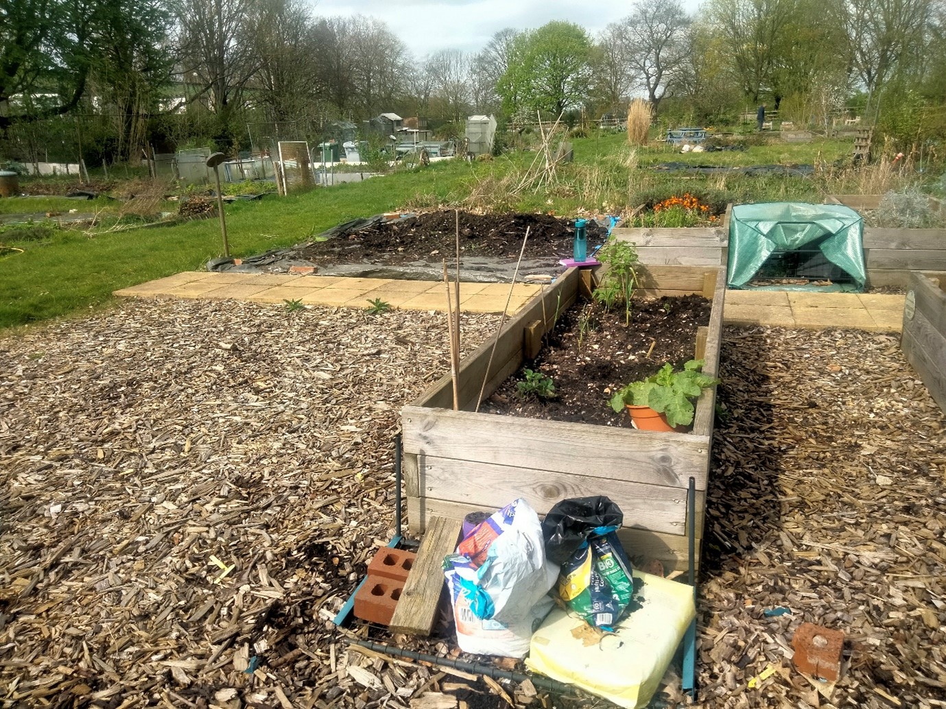 Co-producing nature-based interventions to support positive health ...