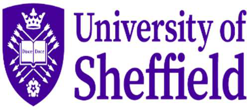Evaluation of the Sheffield Safe Square Pilot - ARC
